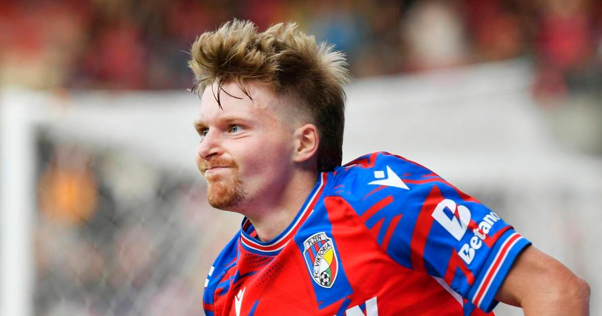 Glosář Luďka Mádla: Rébus Šulc. Proč už není v cizině a proč se nedá ...